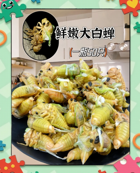 知了怎么吃东西_知了吃什么食物-第1张图片-山城妙识 知了怎么吃东西_知了吃什么食物-第1张图片-山城妙识