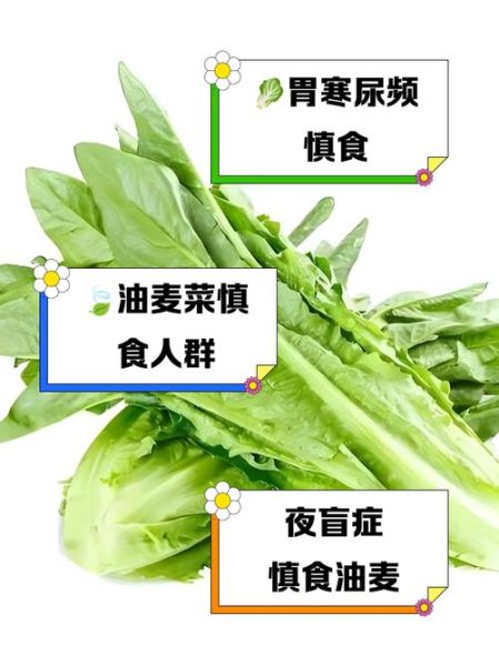 医生为什么不建议吃油麦菜_油麦菜的危害有哪些-第1张图片-山城妙识