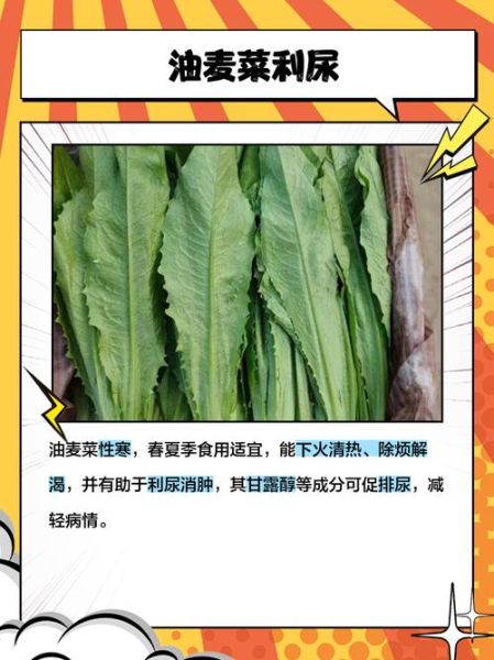 医生为什么不建议吃油麦菜_油麦菜的危害有哪些-第2张图片-山城妙识
