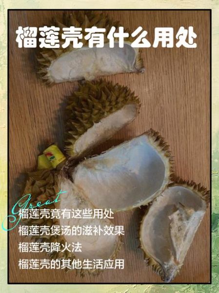 榴莲壳的功效与作用_榴莲壳怎么利用-第1张图片-山城妙识 榴莲壳的功效与作用_榴莲壳怎么利用-第1张图片-山城妙识
