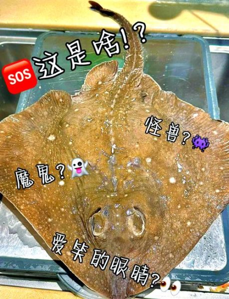 老板鱼哪些部位不能吃_老板鱼内脏能吃吗-第2张图片-山城妙识