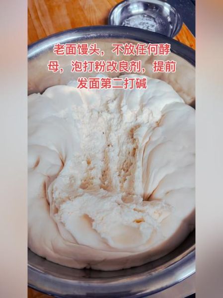 没有酵母粉怎么发面_老面发酵方法-第2张图片-山城妙识 没有酵母粉怎么发面_老面发酵方法-第2张图片-山城妙识