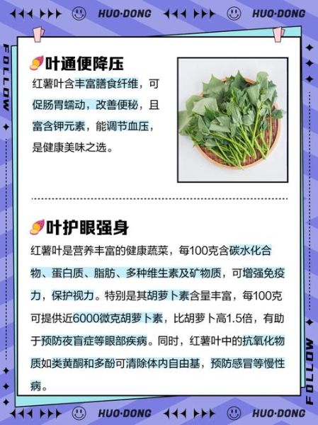 红薯叶怎么种_红薯叶种植方法-第3张图片-山城妙识