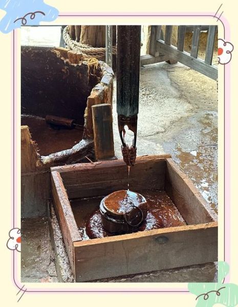 井盐是怎么形成的_井盐形成原理-第1张图片-山城妙识