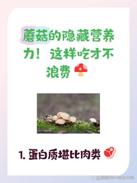 素食养生吃什么好_素食者如何补充蛋白质-第3张图片-山城妙识 素食养生吃什么好_素食者如何补充蛋白质-第3张图片-山城妙识