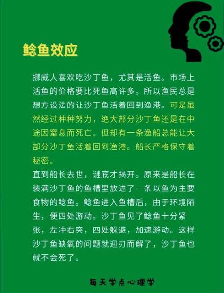 什么是鲶鱼效应_鲶鱼效应如何应用-第1张图片-山城妙识