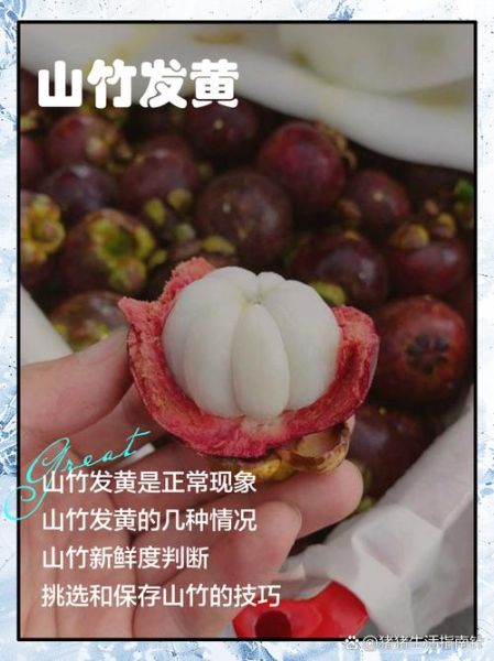 山竹里面黄黄的是坏了吗_还能不能吃-第1张图片-山城妙识 山竹里面黄黄的是坏了吗_还能不能吃-第1张图片-山城妙识