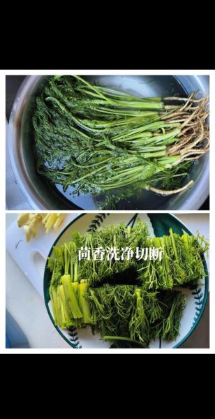 茴香炒肉怎么炒好吃_茴香炒肉用哪个部位肉-第1张图片-山城妙识