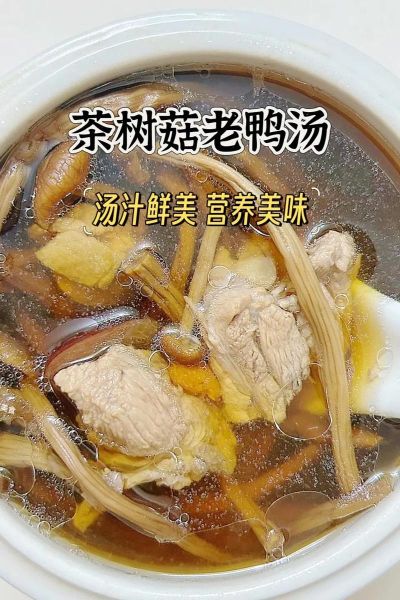 茶树菇老鸭汤的做法_茶树菇老鸭汤的功效-第1张图片-山城妙识 茶树菇老鸭汤的做法_茶树菇老鸭汤的功效-第1张图片-山城妙识