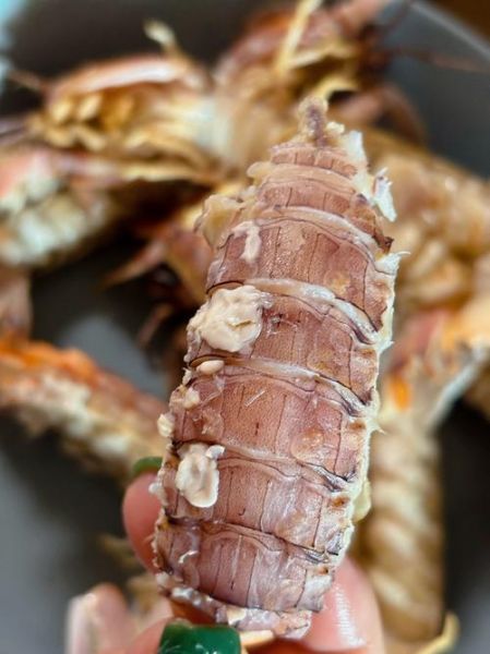 虾爬子是什么意思_虾爬子是哪里的方言-第2张图片-山城妙识