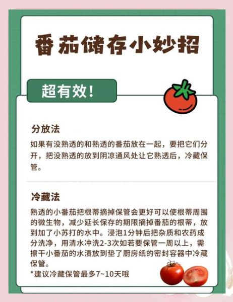 西红柿怎么长期保存_西红柿长期储存方法-第1张图片-山城妙识