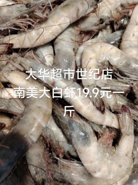 对虾价格多少钱一斤_对虾价格为何波动大-第2张图片-山城妙识 对虾价格多少钱一斤_对虾价格为何波动大-第2张图片-山城妙识