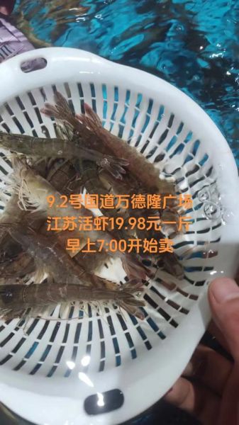 对虾价格多少钱一斤_对虾价格为何波动大-第3张图片-山城妙识 对虾价格多少钱一斤_对虾价格为何波动大-第3张图片-山城妙识
