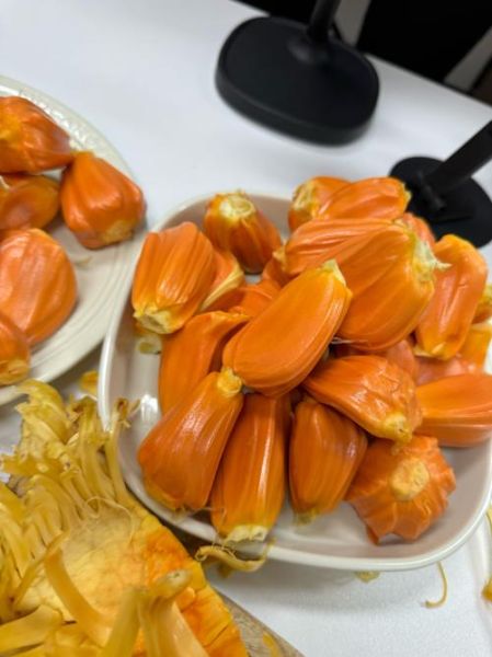 红肉菠萝蜜的营养价值_红肉菠萝蜜的功效与作用-第1张图片-山城妙识