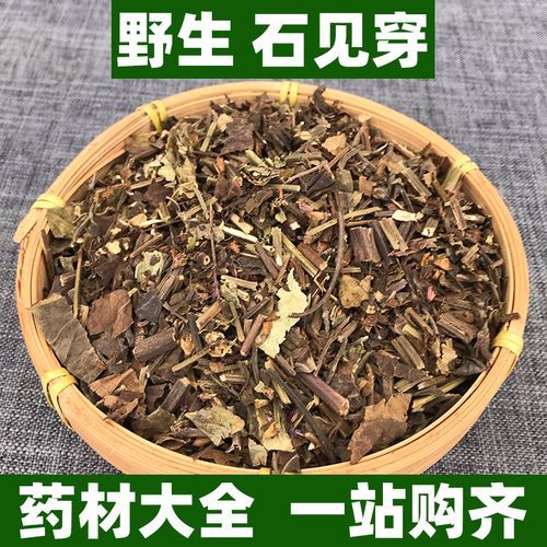 石见穿的功效与作用_石见穿怎么服用-第3张图片-山城妙识 石见穿的功效与作用_石见穿怎么服用-第3张图片-山城妙识