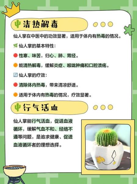 长期服用仙人掌的危害_有哪些副作用-第2张图片-山城妙识 长期服用仙人掌的危害_有哪些副作用-第2张图片-山城妙识