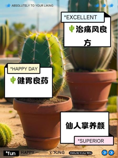 长期服用仙人掌的危害_有哪些副作用-第3张图片-山城妙识 长期服用仙人掌的危害_有哪些副作用-第3张图片-山城妙识