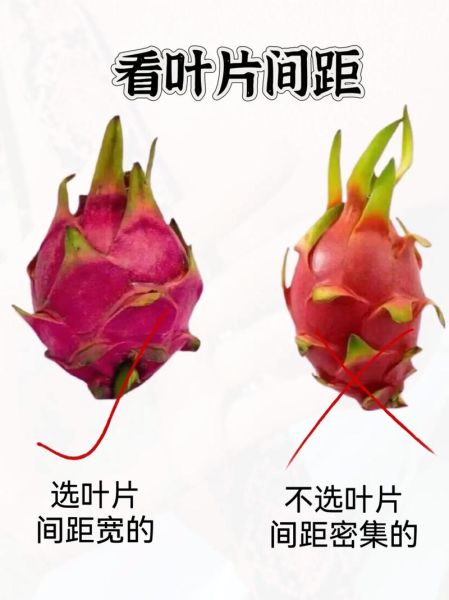 火龙果怎么挑选_火龙果怎么保存-第1张图片-山城妙识 火龙果怎么挑选_火龙果怎么保存-第1张图片-山城妙识