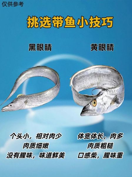 带鱼是鱼吗_带鱼属于什么鱼类-第3张图片-山城妙识 带鱼是鱼吗_带鱼属于什么鱼类-第3张图片-山城妙识
