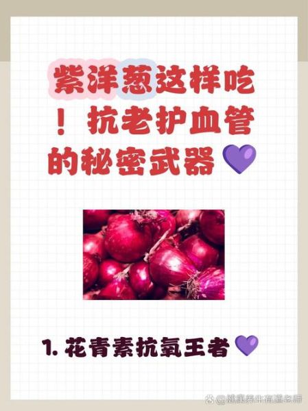 紫洋葱的功效与作用_紫洋葱怎么吃最营养-第1张图片-山城妙识