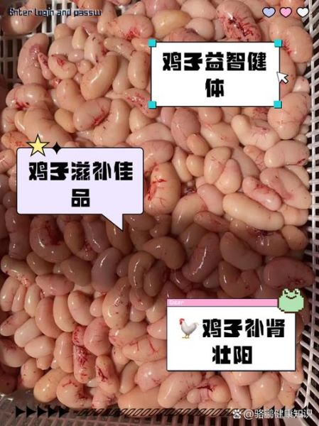 鸡子是什么东西_鸡子是不是鸡蛋-第1张图片-山城妙识 鸡子是什么东西_鸡子是不是鸡蛋-第1张图片-山城妙识
