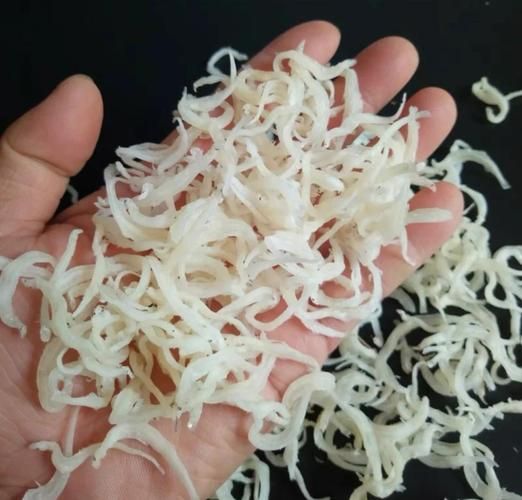 银鱼干可以直接吃吗_银鱼干怎么吃才安全-第1张图片-山城妙识