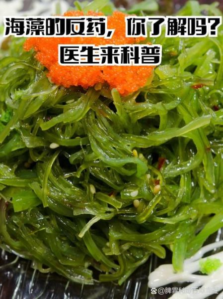 海藻菜的功效与作用_怎么吃最健康-第3张图片-山城妙识