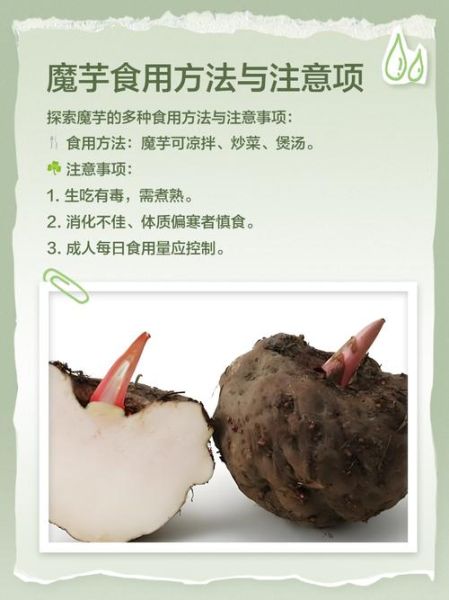 吃魔芋一个月瘦30斤_真的假的-第2张图片-山城妙识 吃魔芋一个月瘦30斤_真的假的-第2张图片-山城妙识