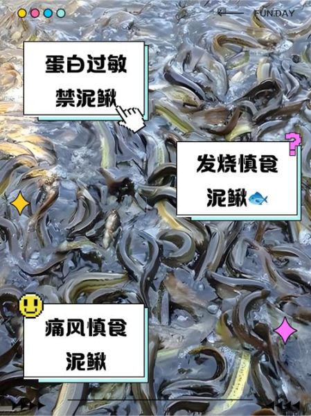 吃泥鳅的禁忌人群_哪些人不能吃泥鳅-第1张图片-山城妙识
