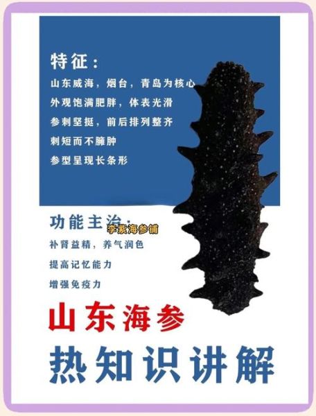 怎么选海参才是正宗的_海参真假辨别方法-第2张图片-山城妙识