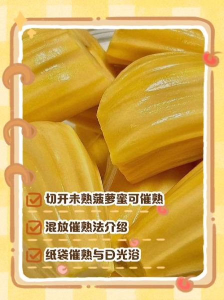 菠萝蜜打开后没熟怎么处理_如何催熟菠萝蜜-第2张图片-山城妙识