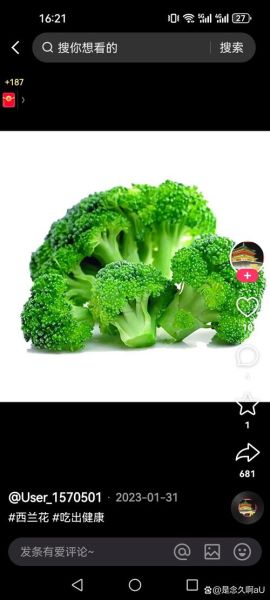 补肾的蔬菜有哪些_肾虚吃什么蔬菜好-第3张图片-山城妙识 补肾的蔬菜有哪些_肾虚吃什么蔬菜好-第3张图片-山城妙识