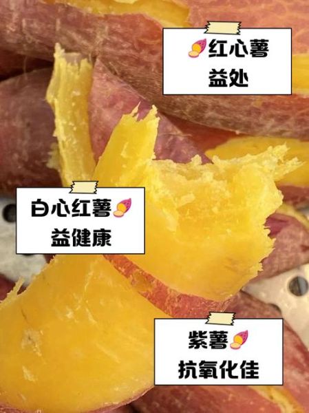 减肥期间吃红薯会发胖吗_红薯热量高吗-第3张图片-山城妙识