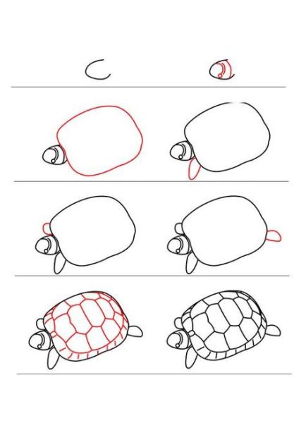 王八简笔画怎么画_王八图片简笔画教程-第2张图片-山城妙识 王八简笔画怎么画_王八图片简笔画教程-第2张图片-山城妙识