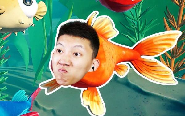 鲤鱼解说ace是什么_鲤鱼解说ace怎么火起来的-第3张图片-山城妙识 鲤鱼解说ace是什么_鲤鱼解说ace怎么火起来的-第3张图片-山城妙识