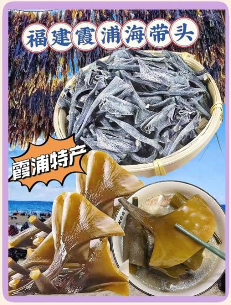 海带产地在哪里_中国海带主产区有哪些-第3张图片-山城妙识