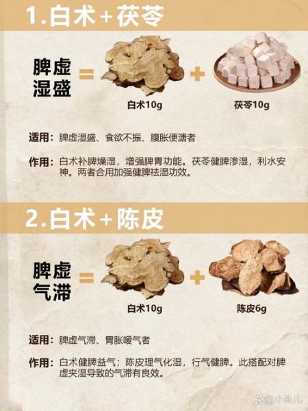 生白术的功效与作用_生白术能健脾祛湿吗-第1张图片-山城妙识 生白术的功效与作用_生白术能健脾祛湿吗-第1张图片-山城妙识