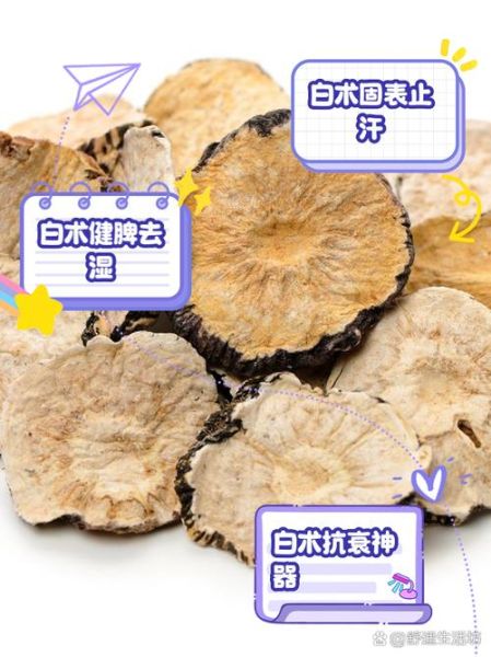 生白术的功效与作用_生白术能健脾祛湿吗-第3张图片-山城妙识 生白术的功效与作用_生白术能健脾祛湿吗-第3张图片-山城妙识