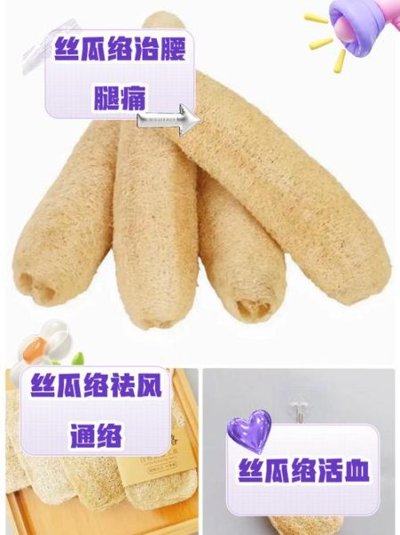 水瓜的功效与作用_水瓜怎么吃最养生-第2张图片-山城妙识