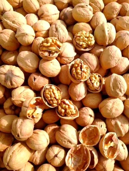 中国核桃产地排名_哪里产的核桃最好-第1张图片-山城妙识