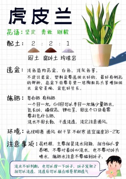 虎皮兰风水寓意_虎皮兰摆放禁忌-第1张图片-山城妙识 虎皮兰风水寓意_虎皮兰摆放禁忌-第1张图片-山城妙识