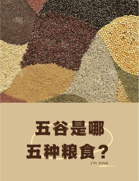 五谷是哪五种粮食_五谷具体指什么-第2张图片-山城妙识