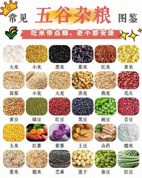 五谷是哪五种粮食_五谷具体指什么-第1张图片-山城妙识