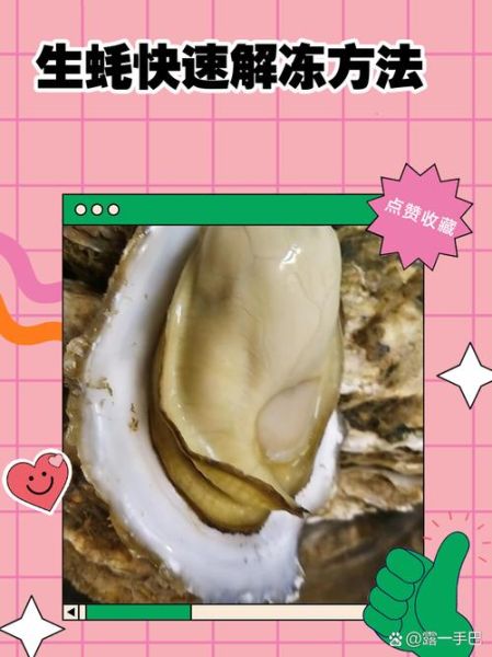 冰冻生蚝怎么处理_解冻后怎么清洗-第2张图片-山城妙识