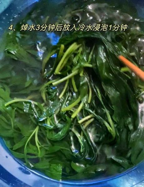 清炒马兰头要焯水吗_焯水时间多久-第3张图片-山城妙识