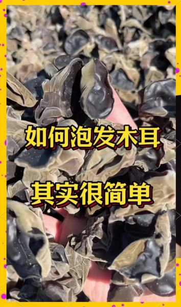 木耳怎么快速泡发_木耳泡发多久可以吃-第2张图片-山城妙识
