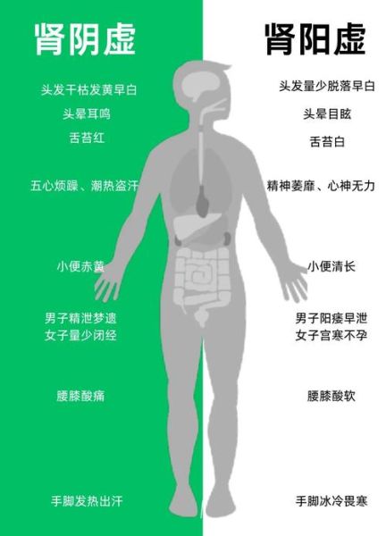 肾虚吃什么补肾虚食谱推荐_肾虚食补一周怎么安排-第3张图片-山城妙识