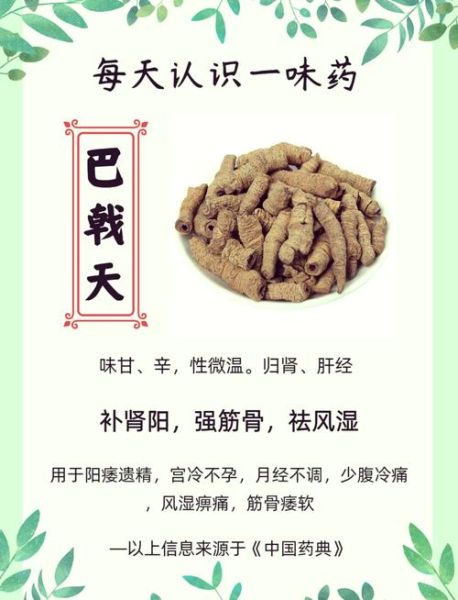 巴戟天的功效与作用_巴戟天的禁忌有哪些-第1张图片-山城妙识