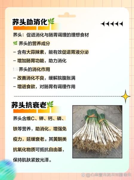 荞头有什么功效_荞头怎么吃最健康-第1张图片-山城妙识