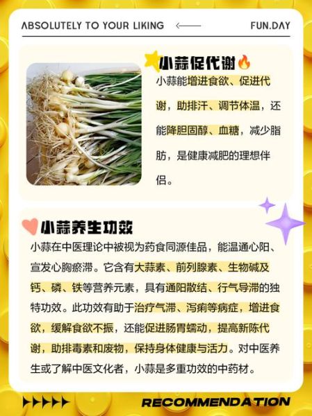 小蒜和大蒜的区别_哪个更营养-第1张图片-山城妙识